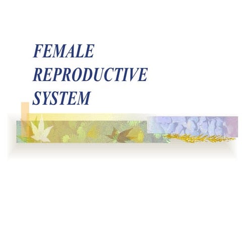 FEMALE REPRODUCTIVE SYSTEM FOR RM 001.pptx