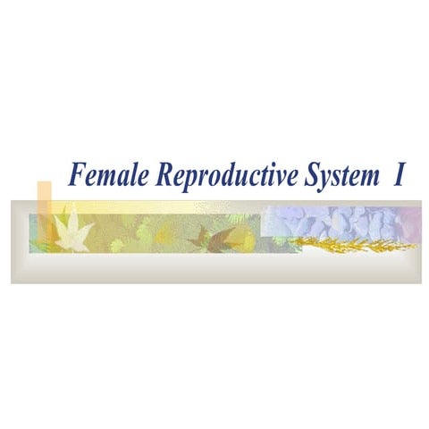 Female reproductive system | PPT