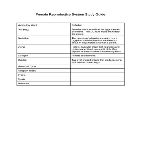 Female Reproductive System Study Guide.pdf