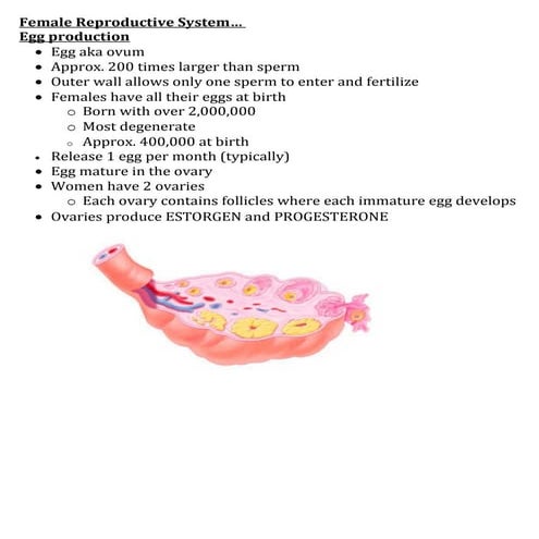 Female reproductive notes | DOC