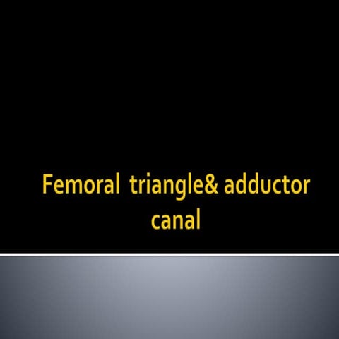 Femoral Triangle & Addutor canal.pptx