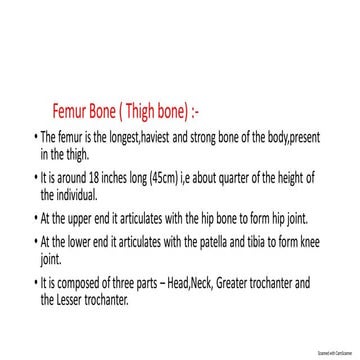 Femur | PDF