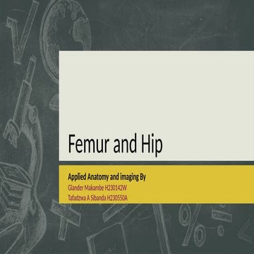 Femur and Hip.ppt positioning of femur & | PPT