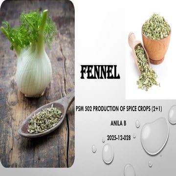 production technology of coffee in detail.pptx