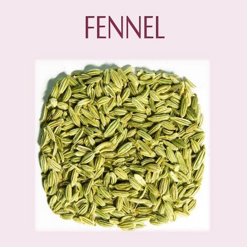 Fennel Cultivation | PPTX