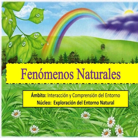 FENOMENOS NATURALES.pptx