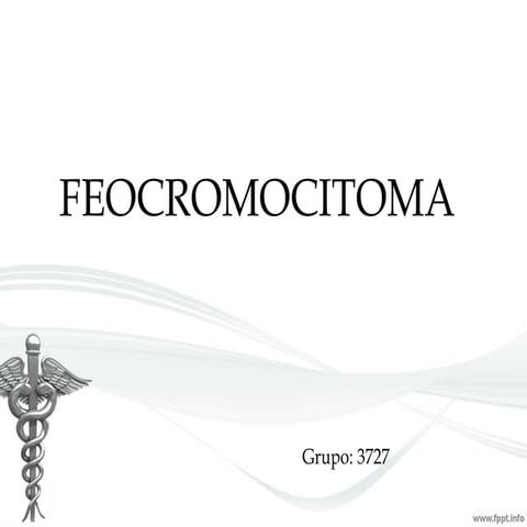 Feocromocitoma | PPT