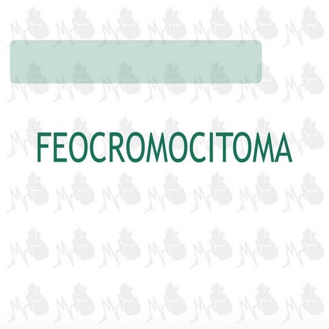 FEOCROMOCITOMA MAPA.CARACTERISTICAS IMPORTANTES | PPTX
