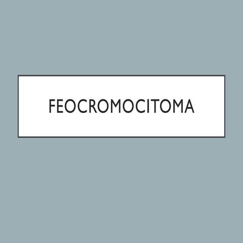 Feocromocitoma en Pacientes 2025, actualización | PPTX