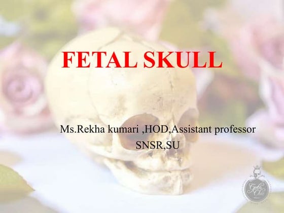 Fetal skull | PPT