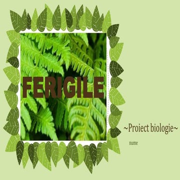 Ferigile powerpoint frumos la biologie (l am fact in clasa a 9 a | PPTX