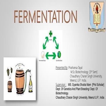 Fermentation Technology | PPT