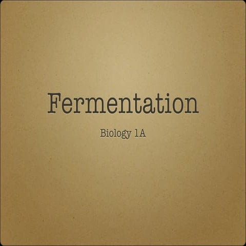 Fermentation | KEY