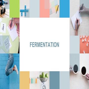 Fermentation | PPTX