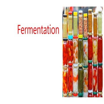 Fermentation | PPT