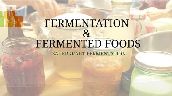 Fermentation process and products | PPTX | Chemistry | Science