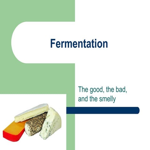 Fermentation technology for food product | PPT