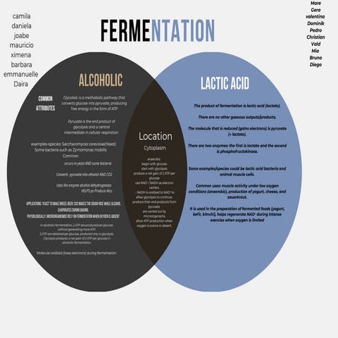 FERMENTATION VENN DIAGRAM BIOLOGY HIGH SCHOOL | PDF