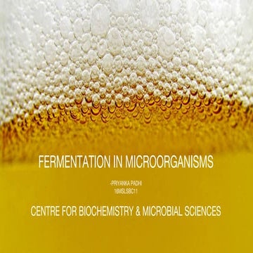 Fermentation in microorganism | PDF