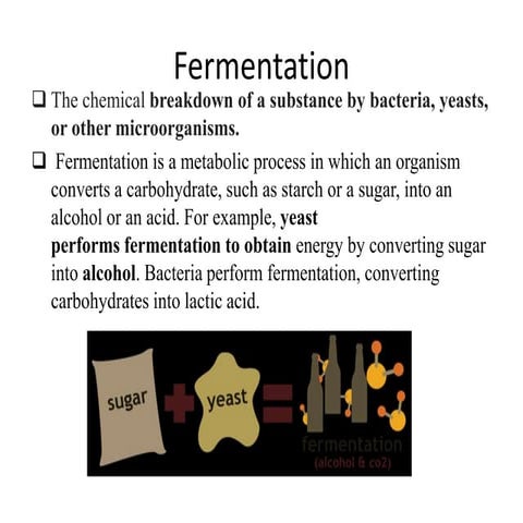Fermentation slides | PPTX