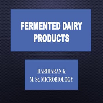 Fermented Dairy Products and Production Process of Fermented Dairy ...