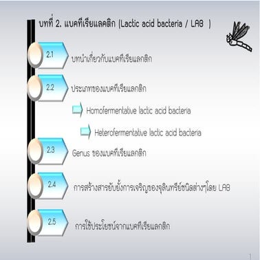 Fermented foods 2 2562 | PDF