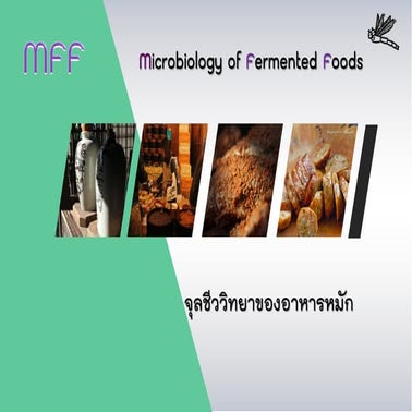 Fermented foods 2562 | PDF