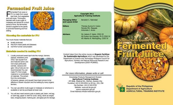 Organic Fertilizer 3 | Fermented Plant Juice (FPJ) | PDF