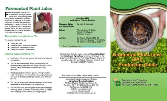 Organic Fertilizer 3 | Fermented Plant Juice (FPJ) | PDF