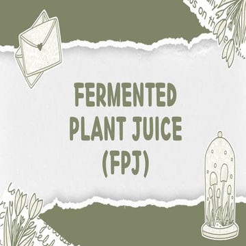 FERTILIZER fermented plant juice (fpj).pdf (1).pdf