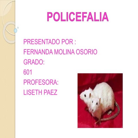 DIAPOSITIVAS DE POLICEFALIA | PPTX