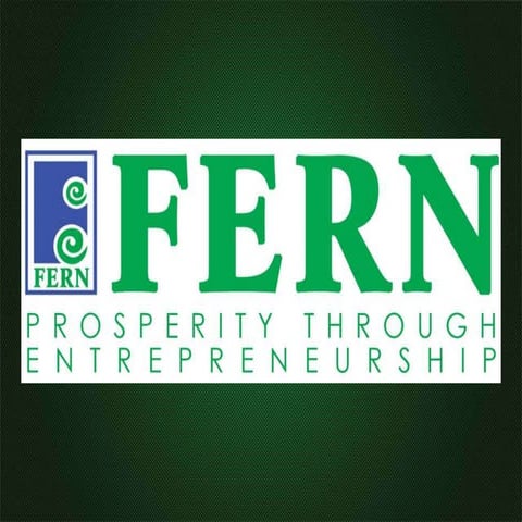 FERN Car Promo Presentation | PPTX | Personal Finance