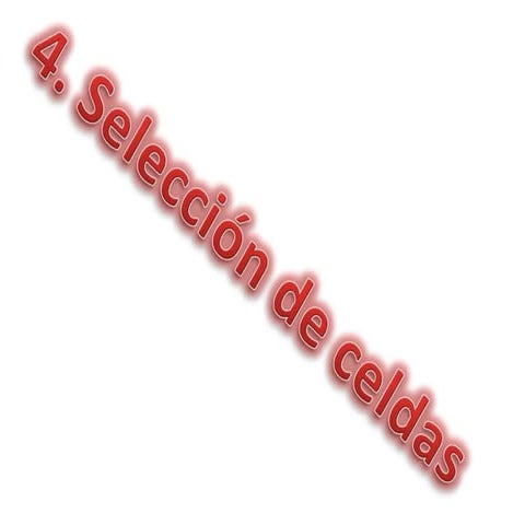 Unidad 4 ejercicio paso a paso copiar celdas | PPTX