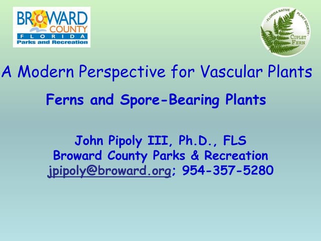 Types of stele and stelar evolution | PDF