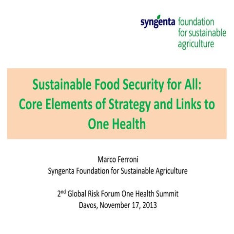 Sustainable Food Security for All: Core Elements of Strategy and Links ...