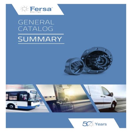 Fersa summary 2018 | PDF