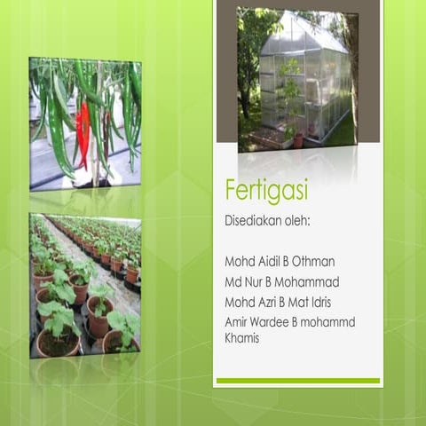 Fertigasi | PPTX