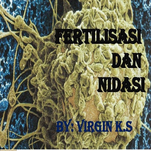 FERTILISASI dan nidasi pada manusia pptx | PPT