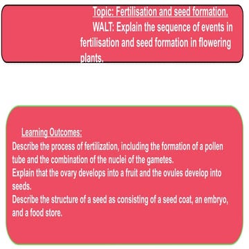 Plant fertilization and seed formation.pptx