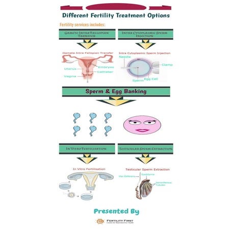 Different Fertility Treatment Options | PDF