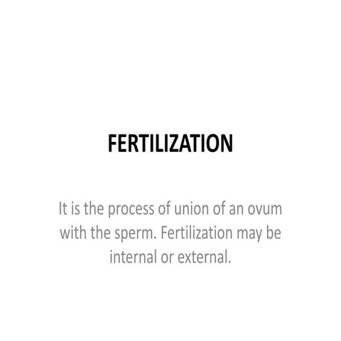 Fertilization | PPTX