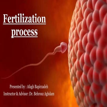 Fertilization | PPTX