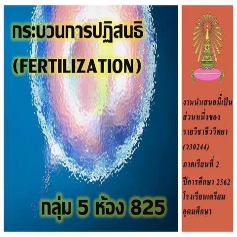 Fertilization Ppt