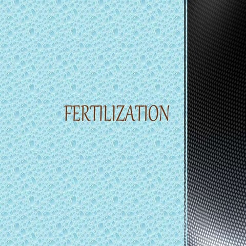 Fertilization | PPTX | Infertility | Reproductive Health