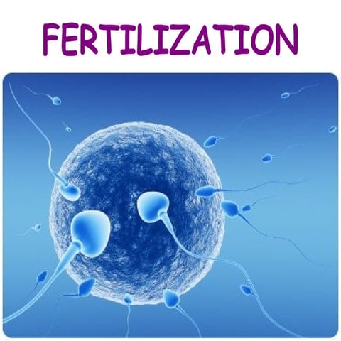 FERTILIZATION physiological and chemical changes | PPTX