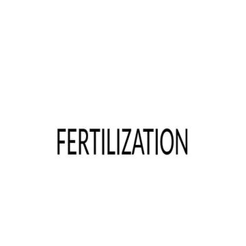 Fertilization Pptxzbbzbshzhsjsjsjdjdjdjdjd Pptx