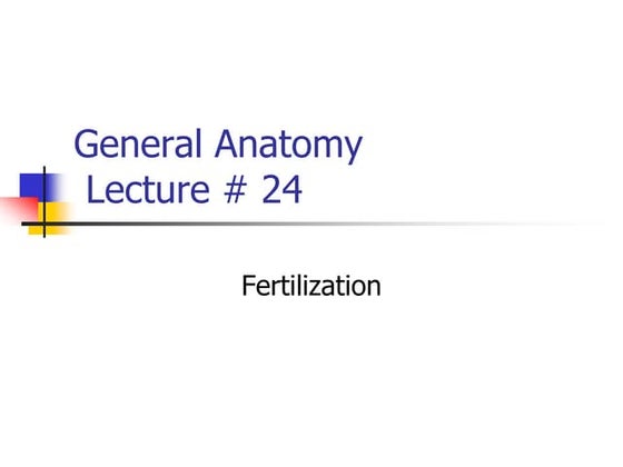 Fertilization | PPT