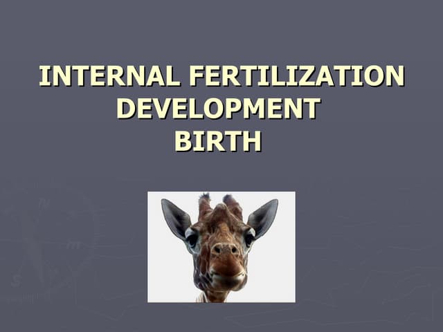 Fertilization Ppt