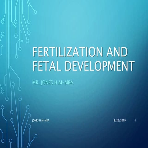 PPT on Embryological and fetal development | PPTX