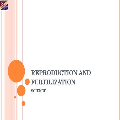 Reproductive system | PPT